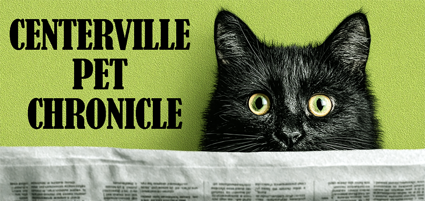 December 2025 Newsletter - Centerville Pet Rescue